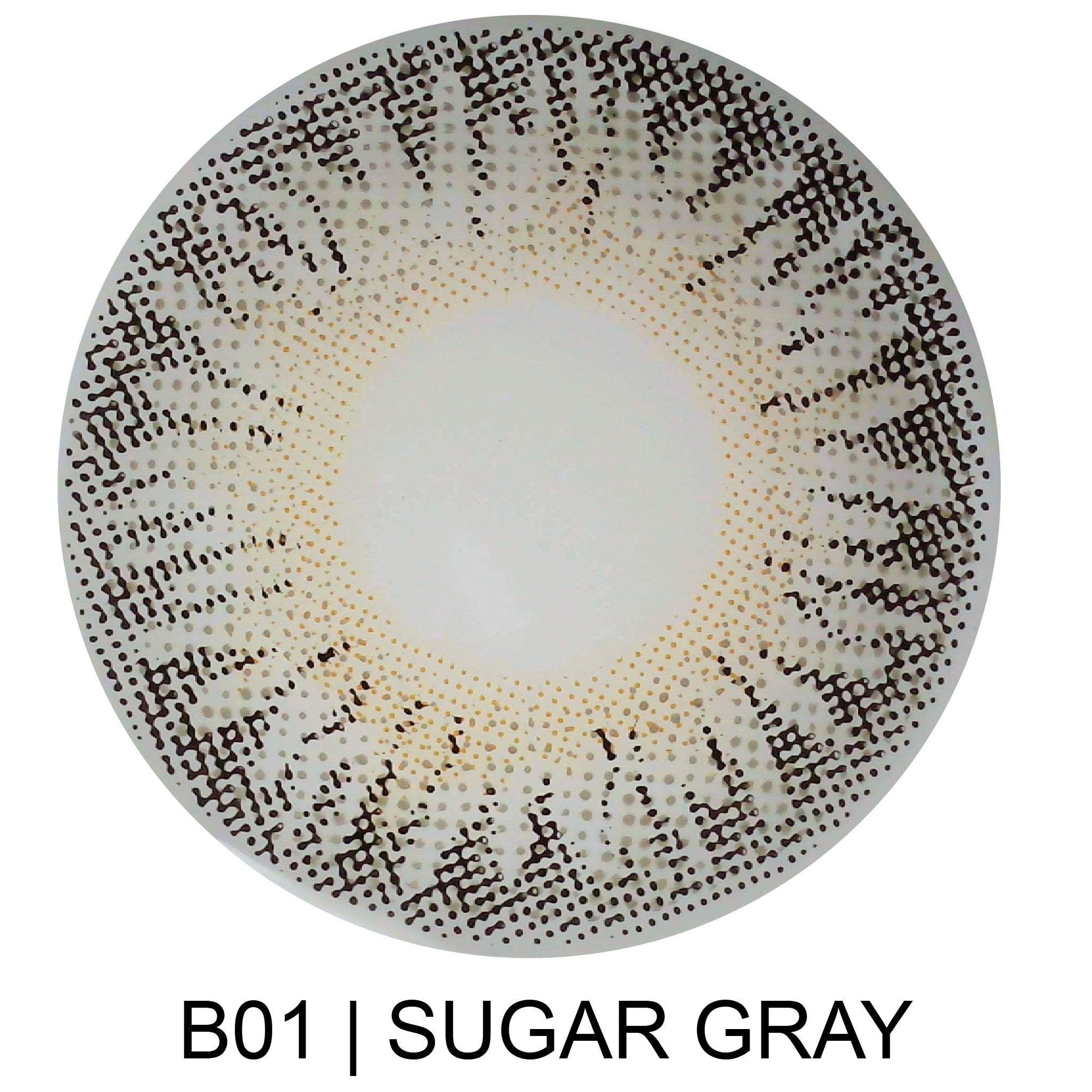 B01 | SUGAR GRAY – RAINBOWCOMPLETE Shop